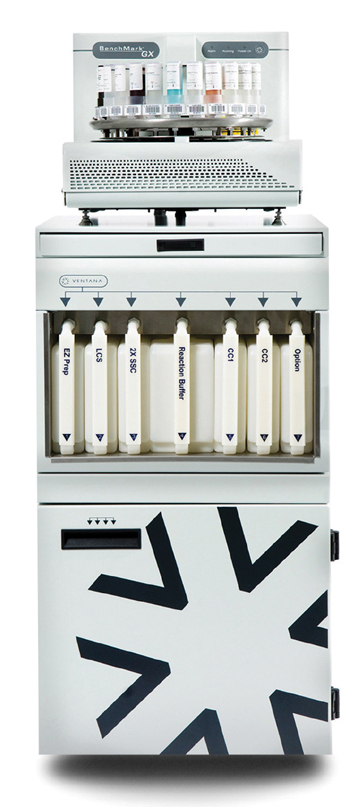 Benchmark GX - Dicipa