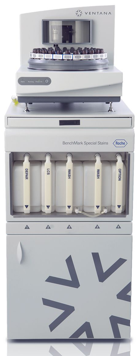 Benchmark Special Stainer - Dicipa