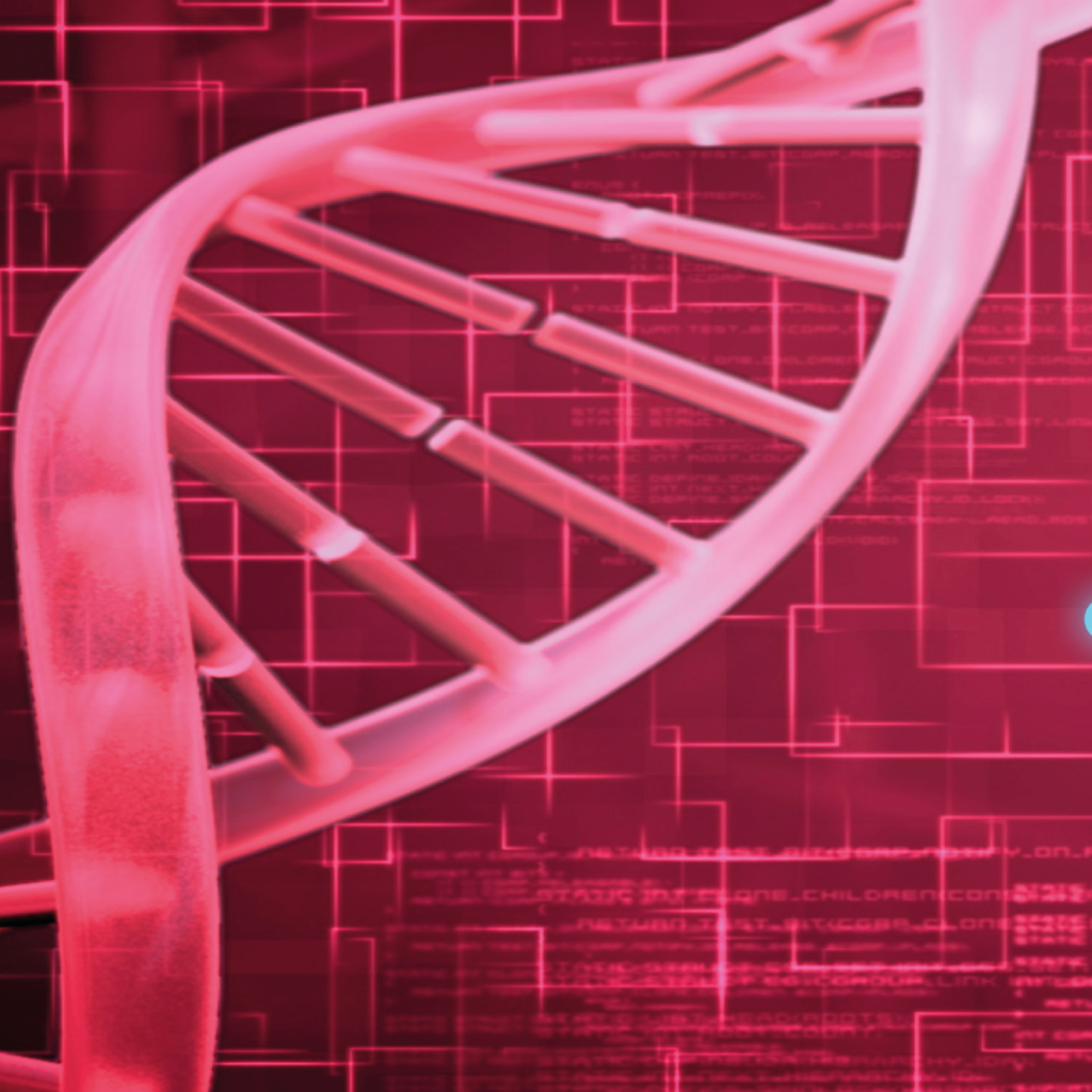 Pruebas Complementarias - Dicipa